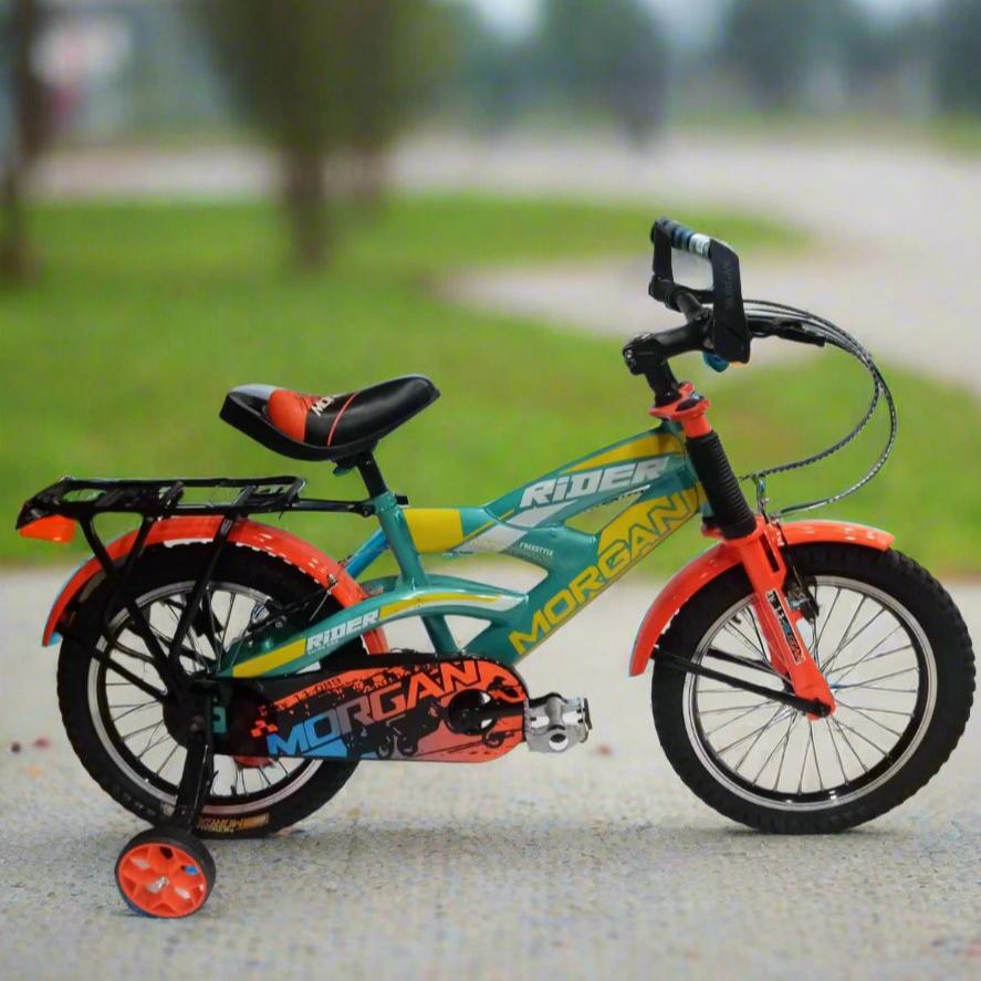 B16-301CK.jpg?v=1730883995