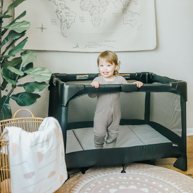 8ae1e95b-818e-4626-959a-650cd23c681d.jpg?v=1703854015